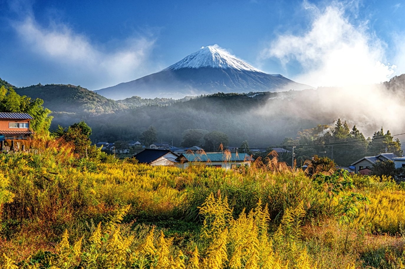 Enjoy Japanese Items From Shizuoka Prefecture’s World-Famous Fuji And ...